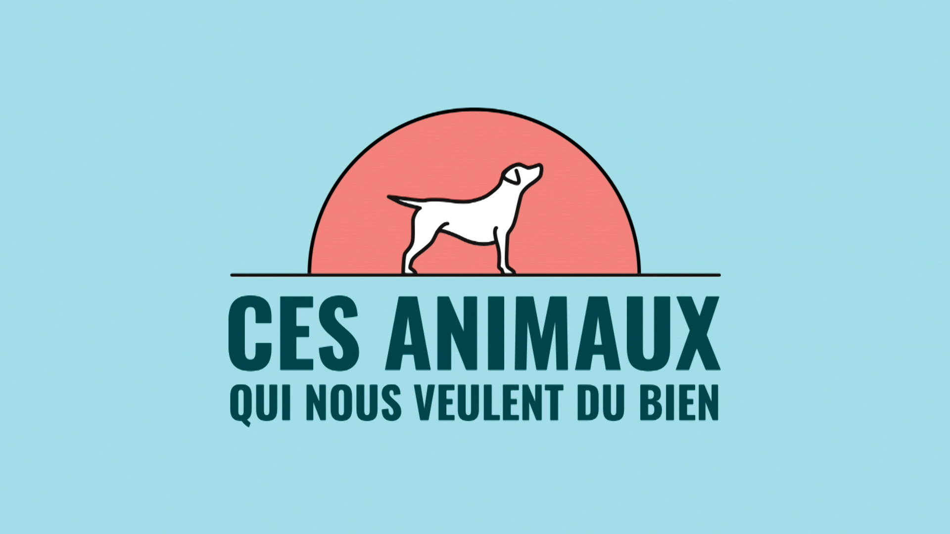 Ces animaux qui nous veulent du bien - Synopsis | Accessibilité Média Inc. Ces animaux qui nous veulent du bien - Synopsis | Accessibilité Média Inc.